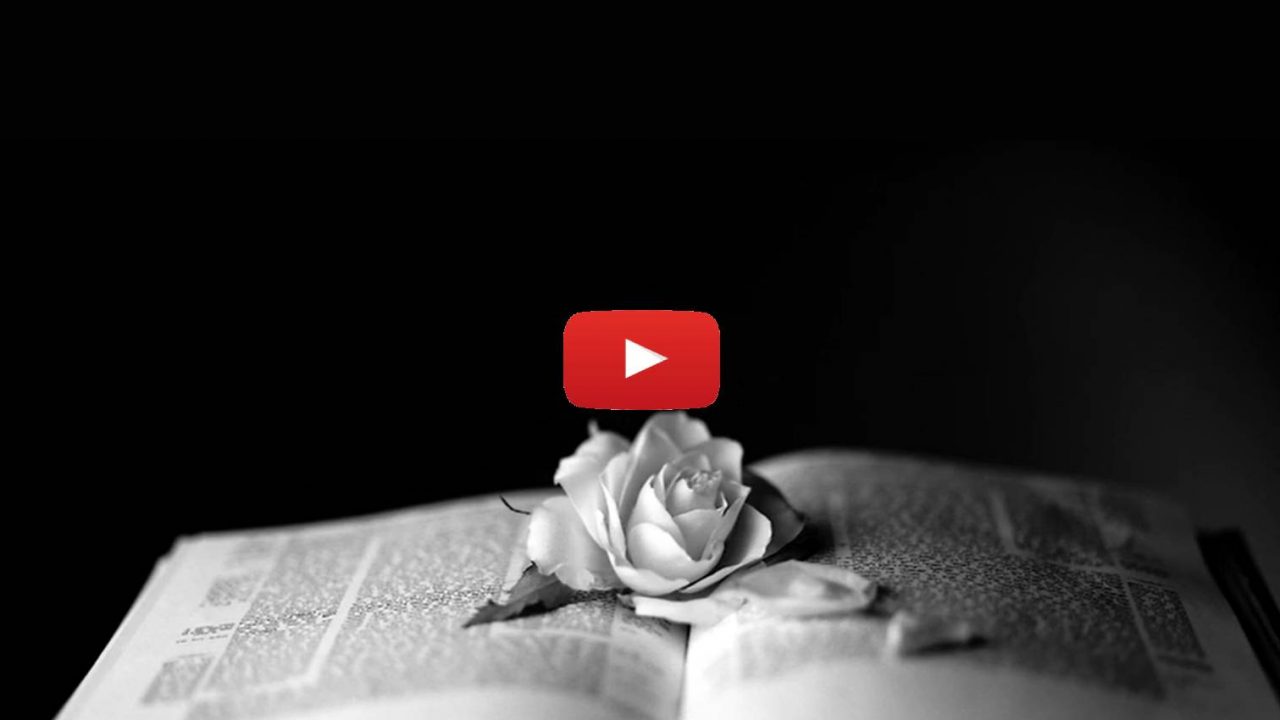 Parshat Bereishit – What’s the Most Important Thing in the World? – Video