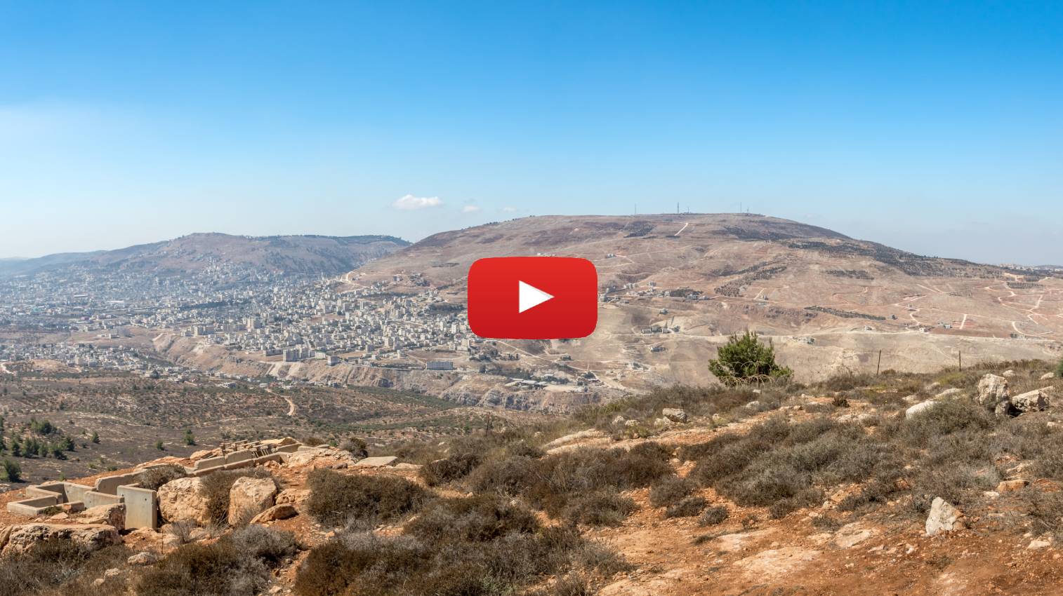 As Common as Wondrous -Parashat Tazria – Metzora – Video