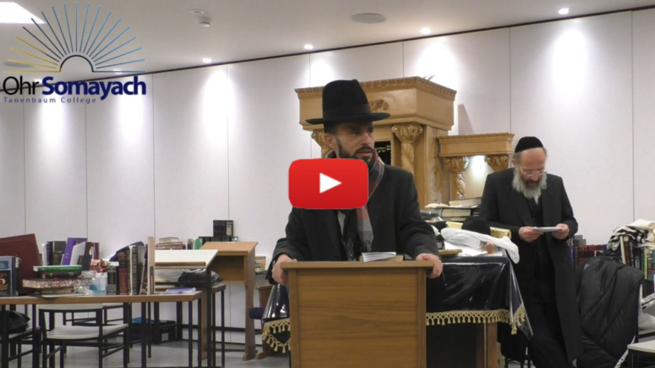 Yishuv Eretz Yisroel Part 2 (Halacha – Jewish Law) – Video