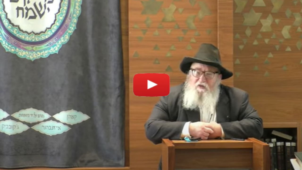 Auditing Autopsy and Kidney Karma (Halacha – Jewish Law) – Video