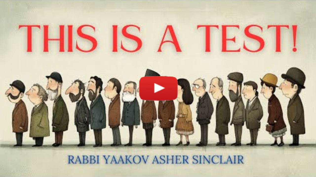 This Is a Test! – Video